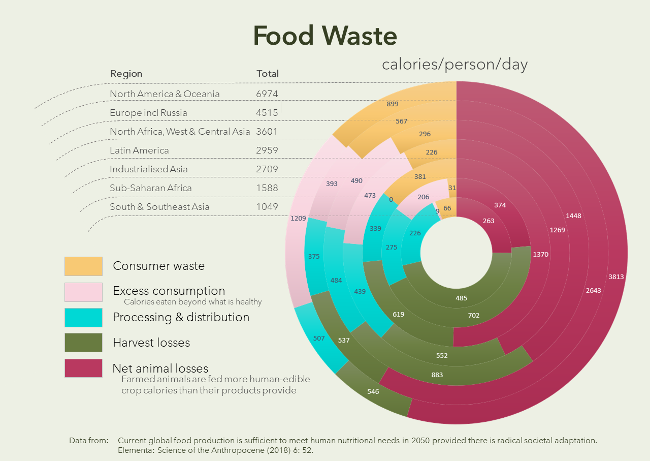 Food Waste